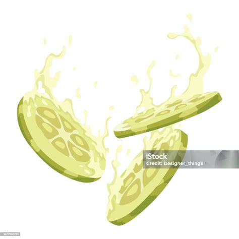 수제 절인 오이 포장 라벨 메뉴 간판 또는 쇼케이스를 위한 절인 음식의 클립 아트 발효 채소 소금으로 작은 오이를 크런치 건강한 채식 음식 건강한 식생활에 대한 스톡 벡터