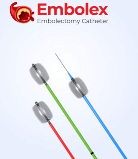 Embolectomy Catheter At Best Price In Hyderabad Id 7787071 Relisys Medical Devices Limited