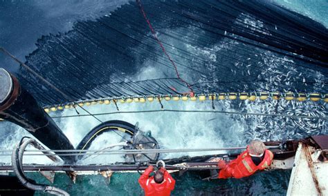 WWF S Oceans Futures Predicting Preventing Sea Conflict