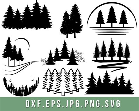 Forest Tree Svg Bundle Forest Tree Png Tree Svg Camping Svg Tree Silhouette Svg Pine Forest