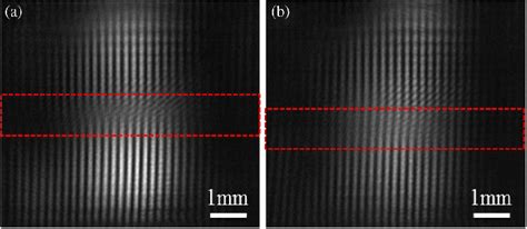 Thz Off Axis Holograms Of The Adhesive Polymer Films With Step Heights Download Scientific