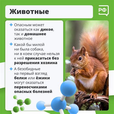 Управление образования администрации ТГО Управление образования администрации ТГО 2024 ВКонтакте