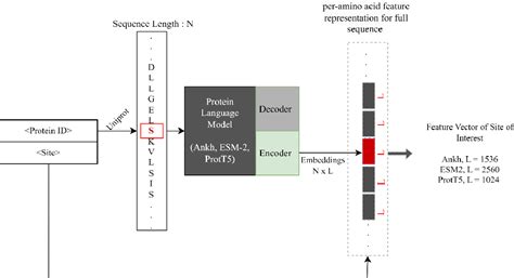 Figure 1 From Integrating Embeddings From Multiple Protein Language