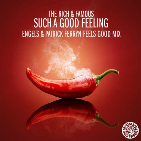 Stream The Rich And Famous Such A Good Feeling Engels And Patrick Ferryn Feels Good Mix By Tiger