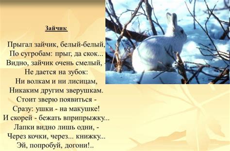 Стихи про природу 4-5 класс для детей