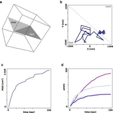 Surface Dependent Diffusion Enables Macroscopic Simulation Of Trapping