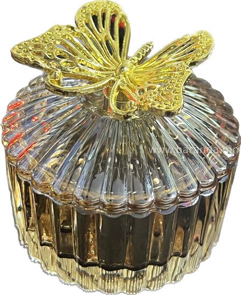 Шилэн сав эрвээхэй Shilen Sav Erveehei