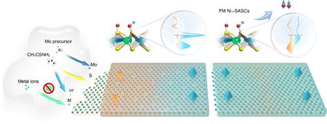 Ferromagnetic Single Atom Spin Catalyst For Boosting Water Splitting Reactions Nus Chemistry