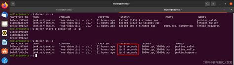 软件测试全面解析docker Startstoprestart命令：管理容器生命周期的必备工具docker Restart Csdn博客
