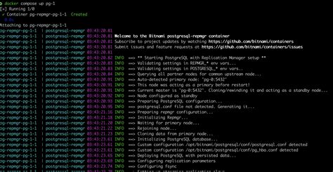 Postgresql Auto Failover With Repmgr