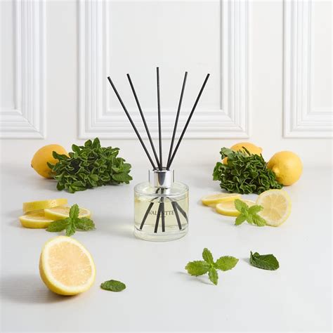 Reed Diffuser Wild Mint And Sicilian Lemon