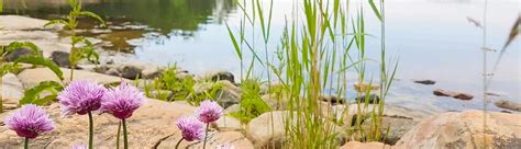 Parhaat Parainen Mökit Ja Majoitus 1 Mökkivuokraamo