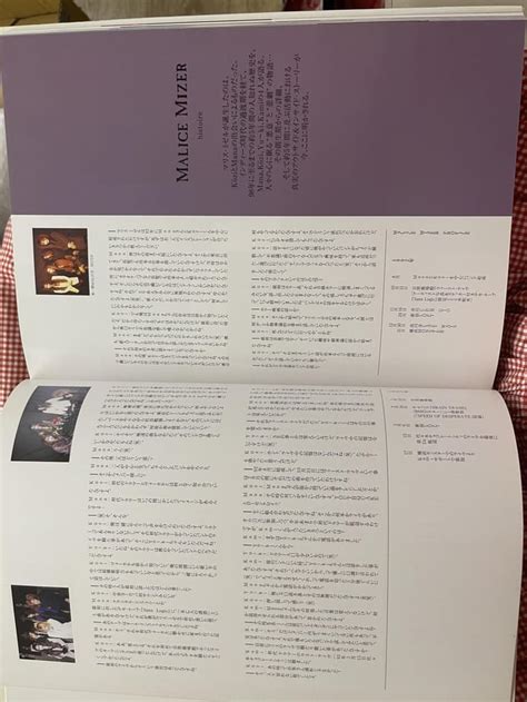 The Malice Mizer Iceberg R Visualkei