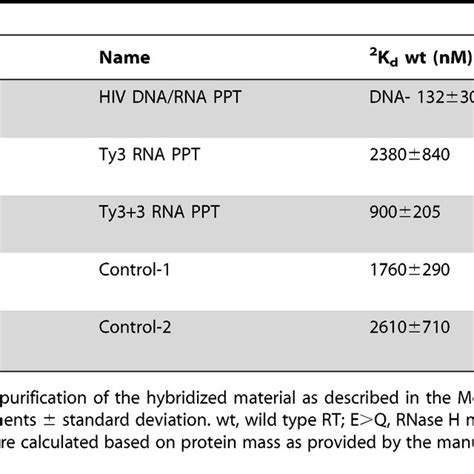 Filter Binding Analysis Of Kd With Hiv Rt Wild Type And Rnase H Minus