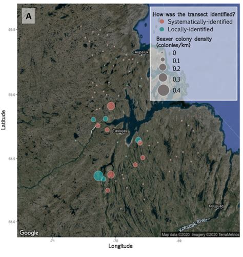 Map A And Dot Plot B Of Colony Density Within Locally Identified Download Scientific