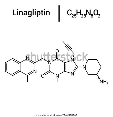 Linagliptin Over 22 Royalty Free Licensable Stock Vectors And Vector Art