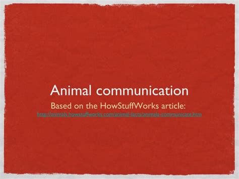 Animal Communication Pptx