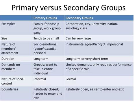 Ppt Primary Versus Secondary Groups Powerpoint Presentation Free Download Id 2170233