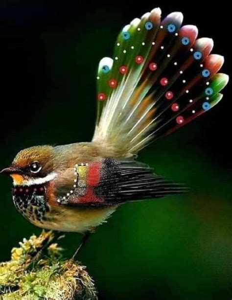 What Is Called Beauty 2023 सुंदरता किसे कहते हैं