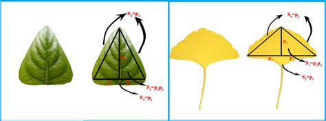 Figure 1 From The Shifted Odd Divisor Functions And Divisor Leaves Model Semantic Scholar