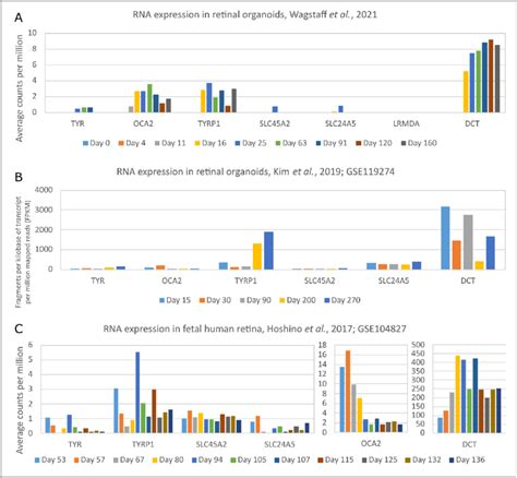 temporal rna seq expression data of genes implicated in oculocutaneous