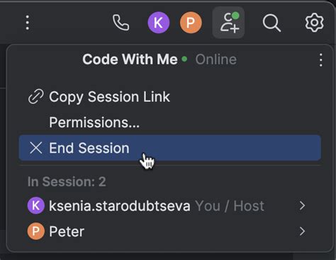 Getting Started With Code With Me RustRover Documentation