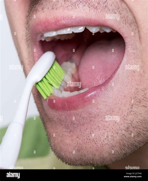 Man Cleans The Teeth Brush Stock Photo Alamy