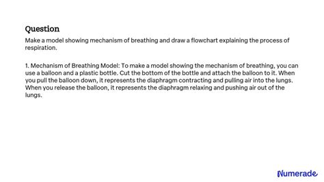 SOLVED Make A Model Showing Mechanism Of Breathing And Draw A Flowchart Explaining The Process