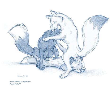 Rule 34 2004 54 Anal Anal Sex Anatomically Correct Anatomically