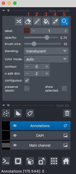 Annotating In Napari — Cellpose Training Gui Documentation