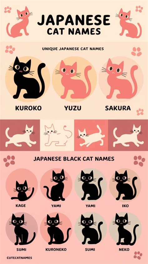 100 Japanese Cat Names With Meanings Japanese Cat Cute Pet Names