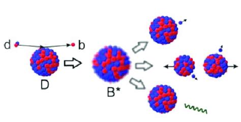 Illustration Of The Surrogate Reaction Method Here D Interacts With D Download Scientific