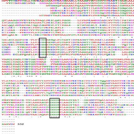 Multiple Sequence Alignment Of NanoRNases Multiple Sequence Alignment Download Scientific