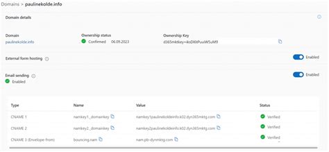 Domain Authentication How Emails Don T End Up In Spam The Art Of Customer Insights Pauline