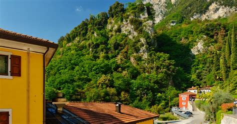 건물 건축 경치 경치가 좋은 고요한 곡선 도로 그림 같은 기이 한 나무 녹지 농촌의 높이 다채로운 도로 도시의 마을 맑은 하늘 매력적인