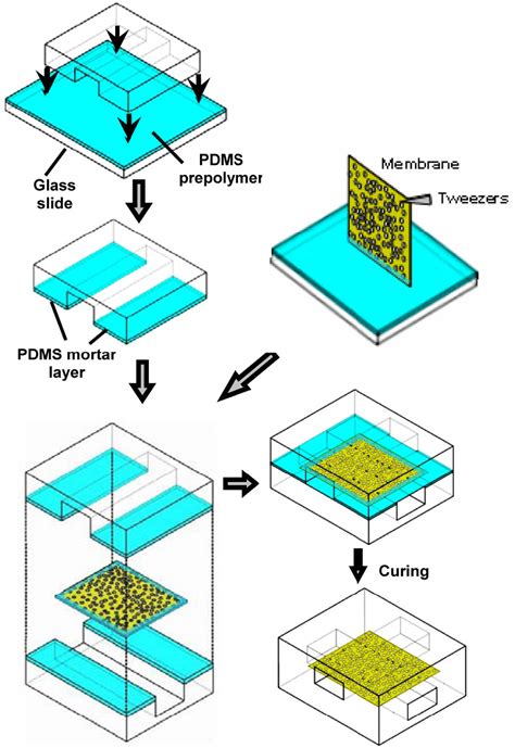 figure 2 from leakage free bonding of porous membranes into layered