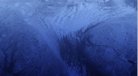 Biology Mdpi On Linkedin Optimization Of Temporal Coding Of Tactile Information In Rat Thalamus By