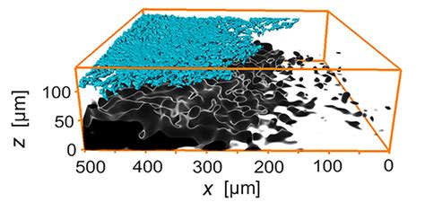 D View Reveals Shadow Effect After Rapid Battery Charging