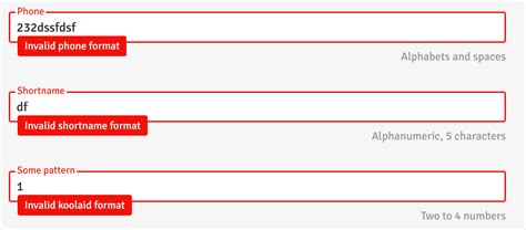Angular Form Validation Directive Sekrab Garage