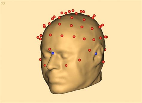 Source Localization In The Eeg Sapien Labs Shaping The Future Of Mind Health