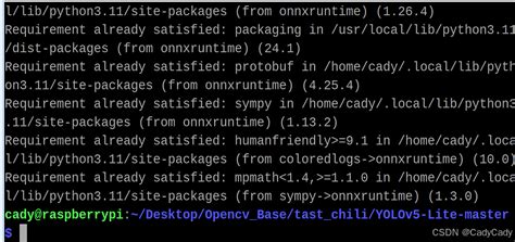 yolov5lite onnxruntime树莓派实时识别检测 树莓派yolov5实时检测 csdn博客