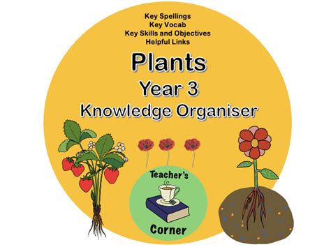 Year 3 Science Knowledge Organiser Bundle Teaching Resources