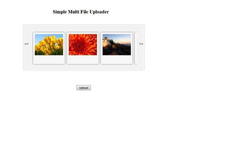 Simple Multi File Uploader Image And Video Tools