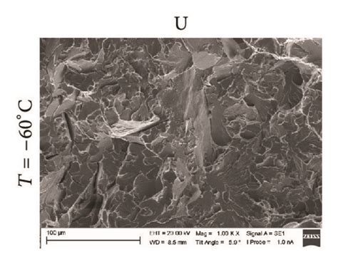 Fracture Surfaces Corresponding To The Crack Propagation Zone In The