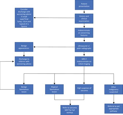 A Simplified Referral Pathway Utilized By The Authors Institution In