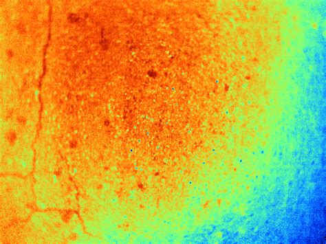 My First Project Object Detection Dataset By 521