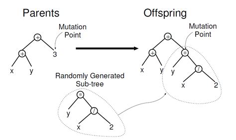 【遗传编程基因规划】genetic Programming初学者笔记：基本概念与过程genetic Programming评价指标 Csdn博客