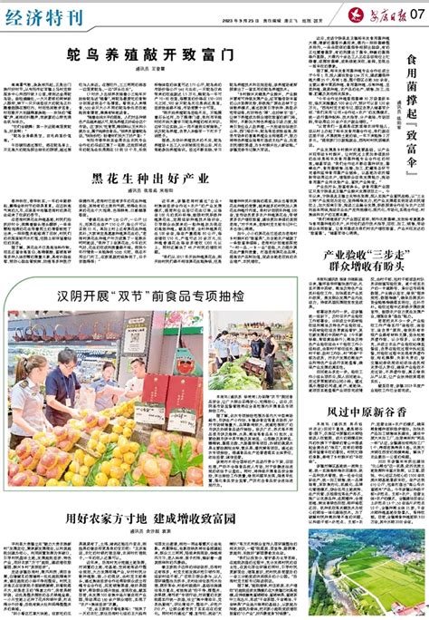 2023年09月25日 星期一 第07版：经济特刊