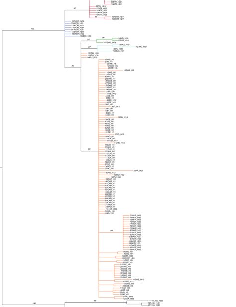 Bayesian Tree Showing Phylogenetic Relationships Among Black Grouse Download Scientific Diagram