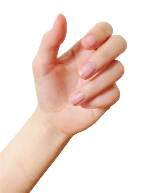 手の素材模写用モリシタアイミnote